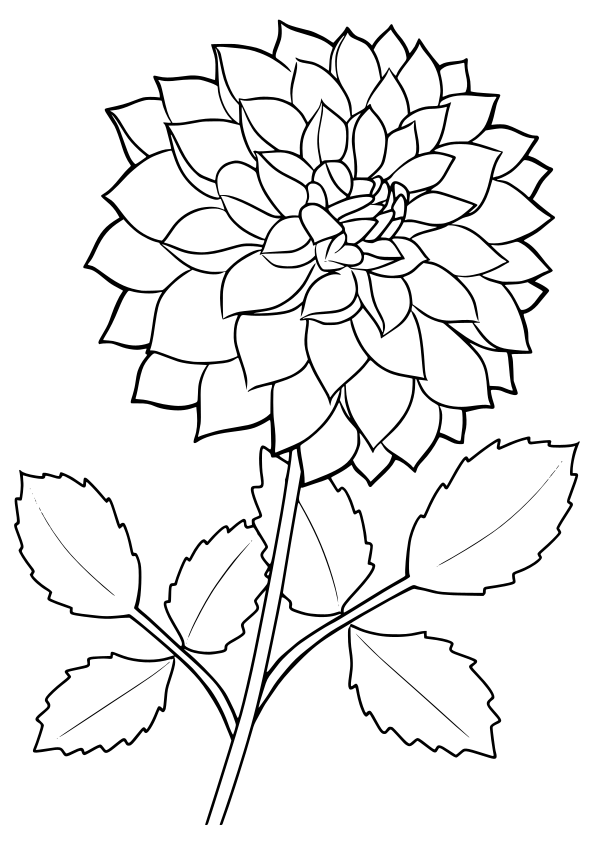 2 2